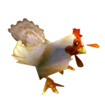 Chicken Egg | Classic WoW Wiki | Fandom