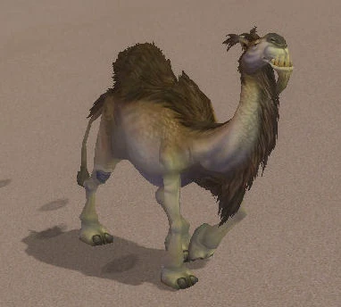 Wild Camel | WoWWiki | Fandom