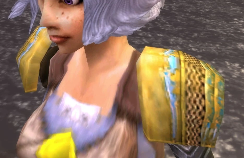 Burnished Pauldrons | WoWWiki | Fandom