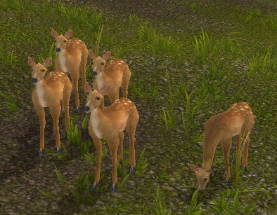 Highland Doe | WoWWiki | Fandom