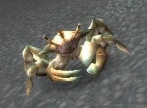 Reef Crawler | WoWWiki | Fandom