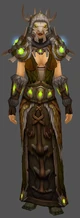 Set look alikes | WoWWiki | Fandom