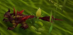 Spiky Lizard | WoWWiki | Fandom