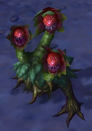 Doom Bloom | WoWWiki | Fandom