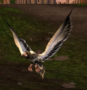 Dragonbone Hatchling | WoWWiki | Fandom