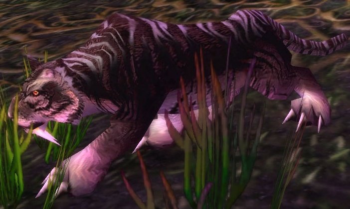 Nightsaber Mob Wowwiki Fandom