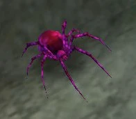 Twilight Spider | WoWWiki | Fandom
