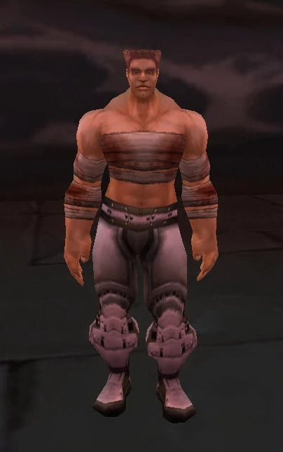 Crusader Jonathan | WoWWiki | Fandom