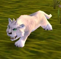 Snow Cub | WoWWiki | Fandom
