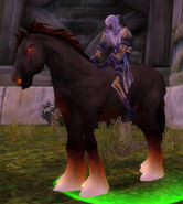 Executor Zygand | WoWWiki | Fandom