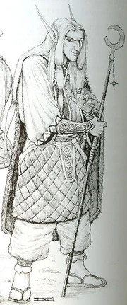 Wizard | WoWWiki | Fandom