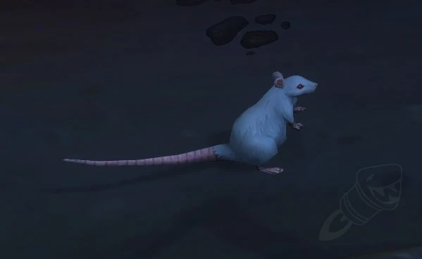 Blind Rat | WoWWiki | Fandom