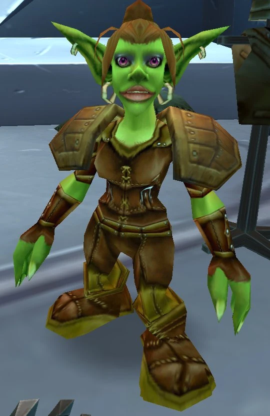 Leather Armor Vendor | WoWWiki | Fandom