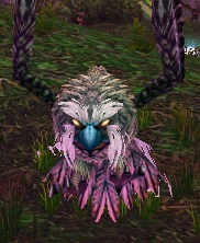 Strigid Owl | WoWWiki | Fandom