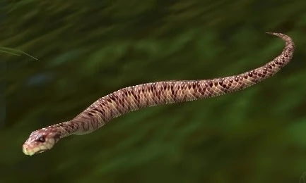 Slithering Brownscale | WoWWiki | Fandom