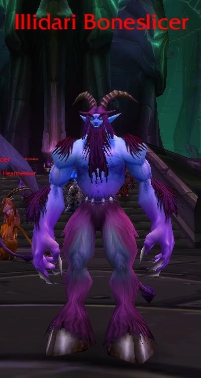 Illidari Boneslicer Wowwiki Fandom