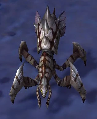 Thicket Skitterer | WoWWiki | Fandom