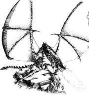 Red dragonflight | WoWWiki | Fandom