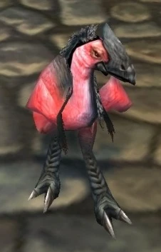 Lovebird Hatchling | WoWWiki | Fandom