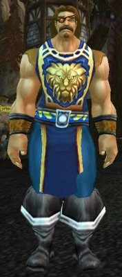 Valgarde Cannoneer | WoWWiki | Fandom