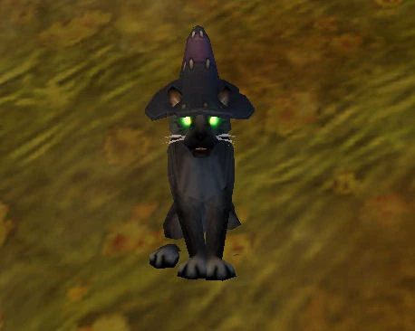 Feline Familiar | WoWWiki | Fandom