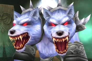 centipaar insect part