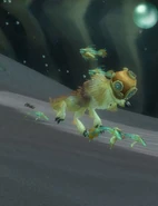 Orako | WoWWiki | Fandom