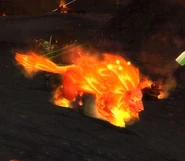 Druid of the Flame | WoWWiki | Fandom