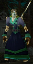 Spellbinder Robe | WoWWiki | Fandom