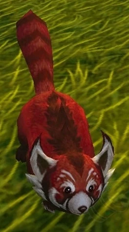 Red Panda | WoWWiki | Fandom