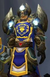 Stormwind Tabard | WoWWiki | Fandom