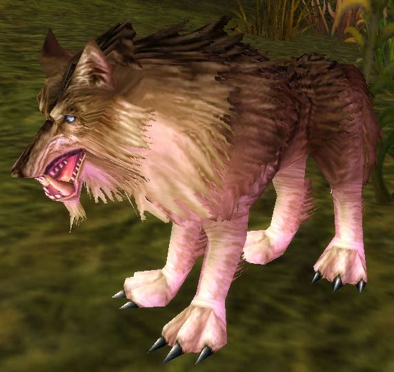 Worg Carrier Wowwiki Fandom