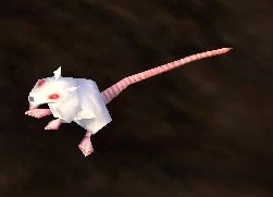 Highlands Mouse | WoWWiki | Fandom