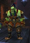 Blademaster Ronakada | WoWWiki | Fandom