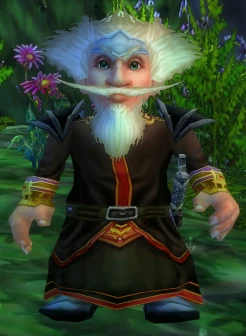 Doomsayer's Robe | WoWWiki | Fandom