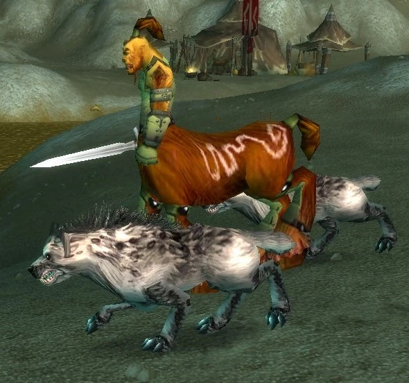 Magram Pack Runner | WoWWiki | Fandom