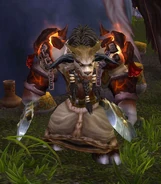 Tharm Wildfire | WoWWiki | Fandom