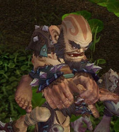 Pygmy Scout | WoWWiki | Fandom
