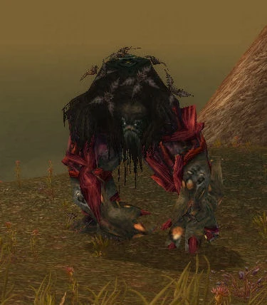 The Husk | WoWWiki | Fandom