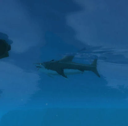 Daggertooth Shark | WoWWiki | Fandom