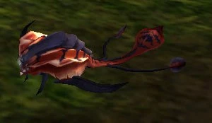 Fledgeling Nether Ray | WoWWiki | Fandom