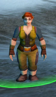 Yarlyn Amberstill | WoWWiki | Fandom