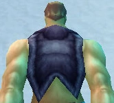 Bandit Cloak | WoWWiki | Fandom