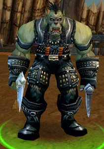 Commander Aggro'gosh | WoWWiki | Fandom