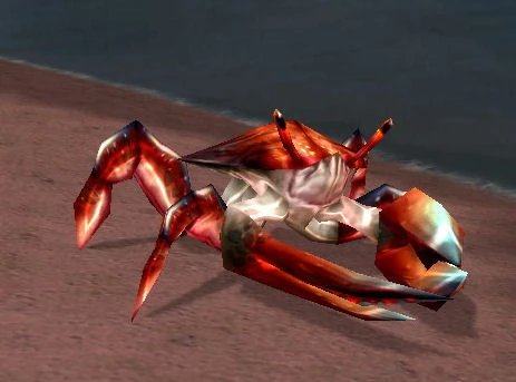 Darkmoon Tide Crawler | WoWWiki | Fandom