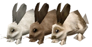 Rabbit | WoWWiki | Fandom