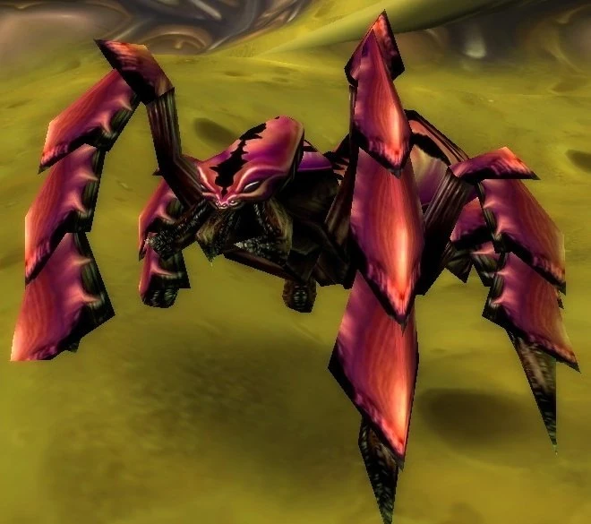 Zukk'ash Tunneler | WoWWiki | Fandom