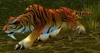 Elder Stranglethorn Tiger | WoWWiki | Fandom