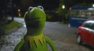 Kermit the frog | Woybff and the galaxy Wiki | Fandom