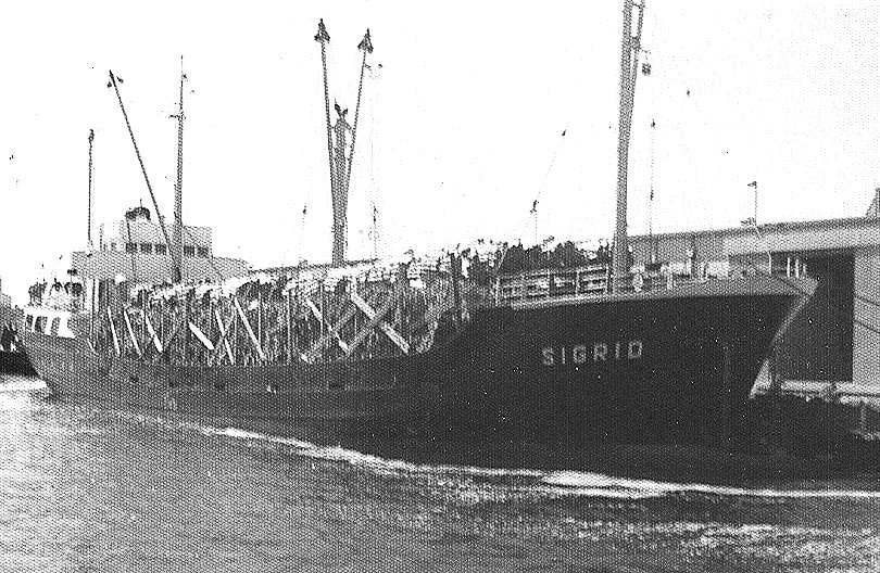 MB Sigrid | Wrecked Ships Wiki | Fandom